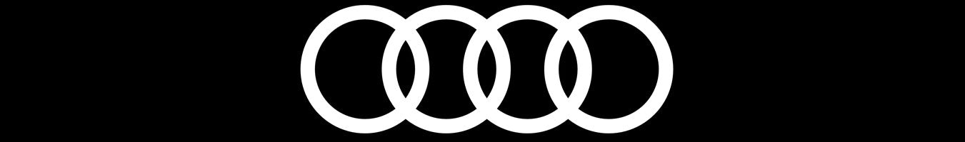 Audi Performance Track Day Brakes | PBS Brakes